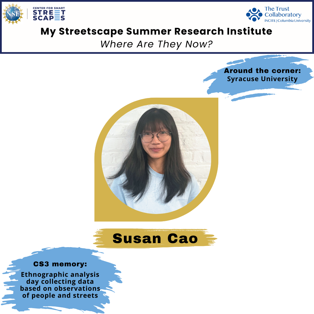 Looking back on 2023 My Streetscape Summer Research Institute: Where is ...