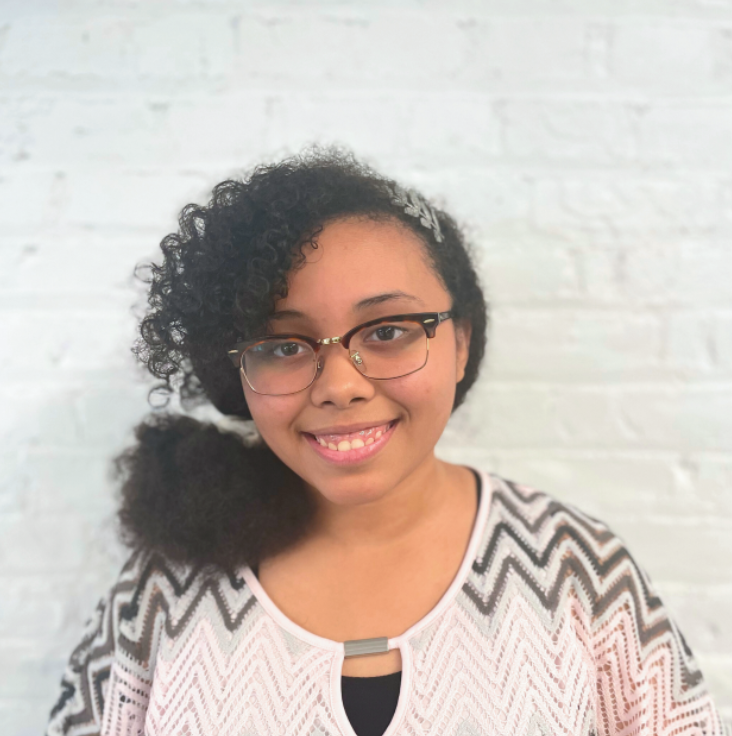 Looking back on 2023 My Streetscape Summer Research Institute: Where is ...